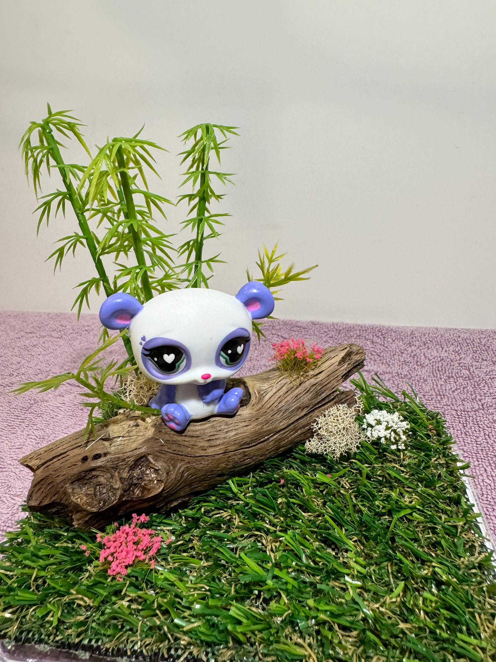 Handcrafted Jumping Spider Enclosure - Littlest Pet Shop Themed Panda ...
