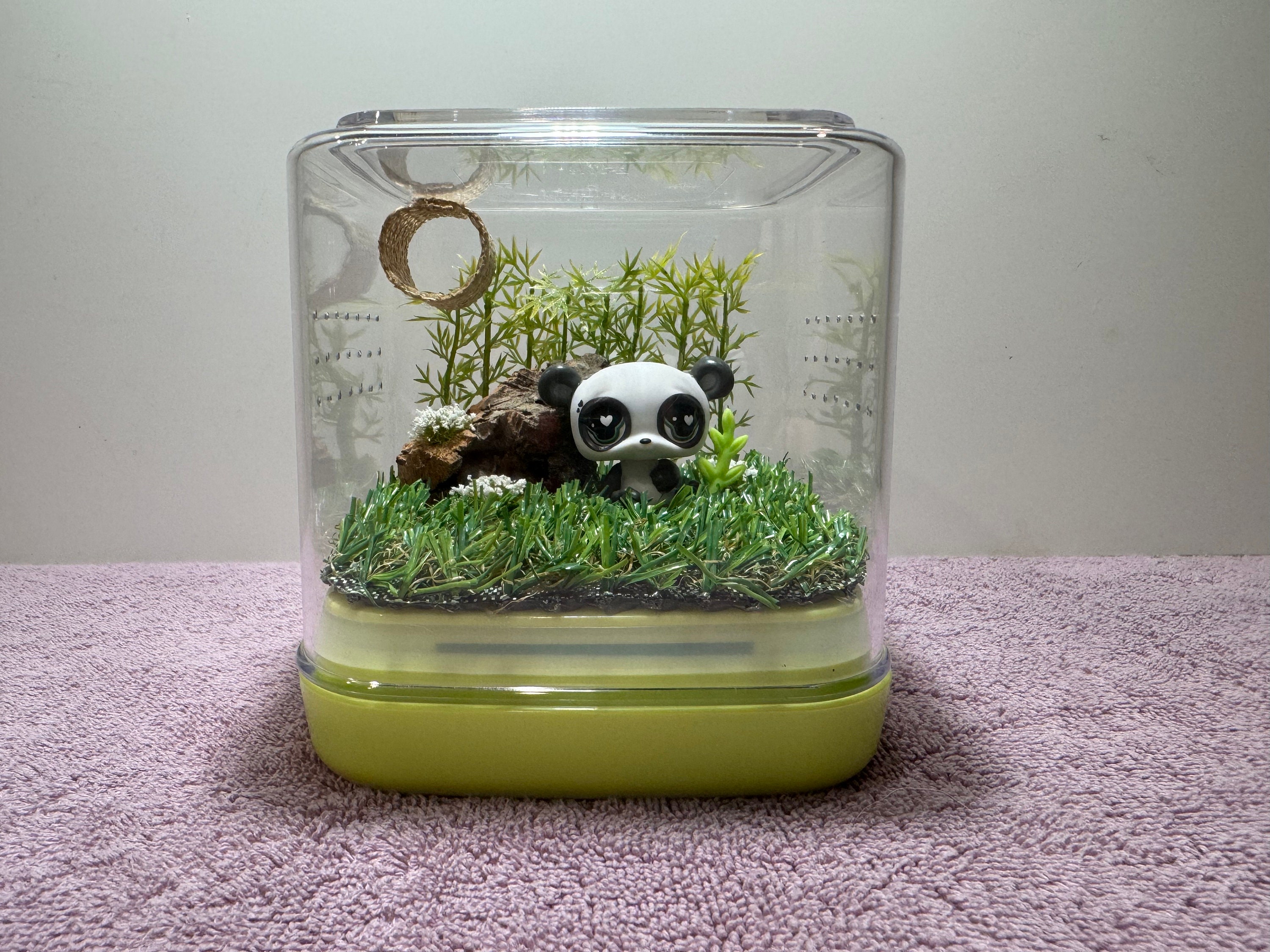 Handcrafted Jumping Spider Enclosure - Littlest Pet Shop Themed Panda ...