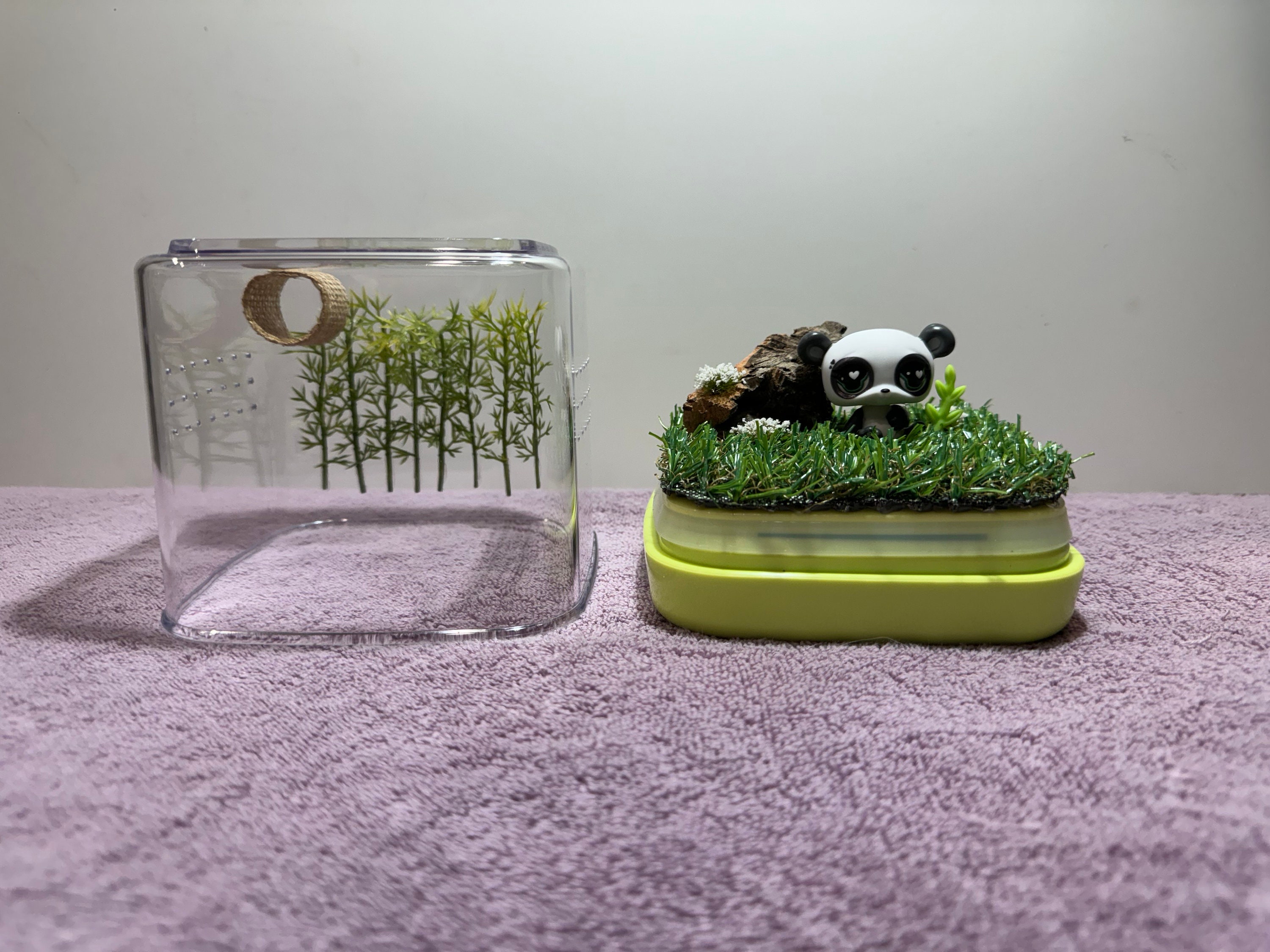 Handcrafted Jumping Spider Enclosure - Littlest Pet Shop Themed Panda ...