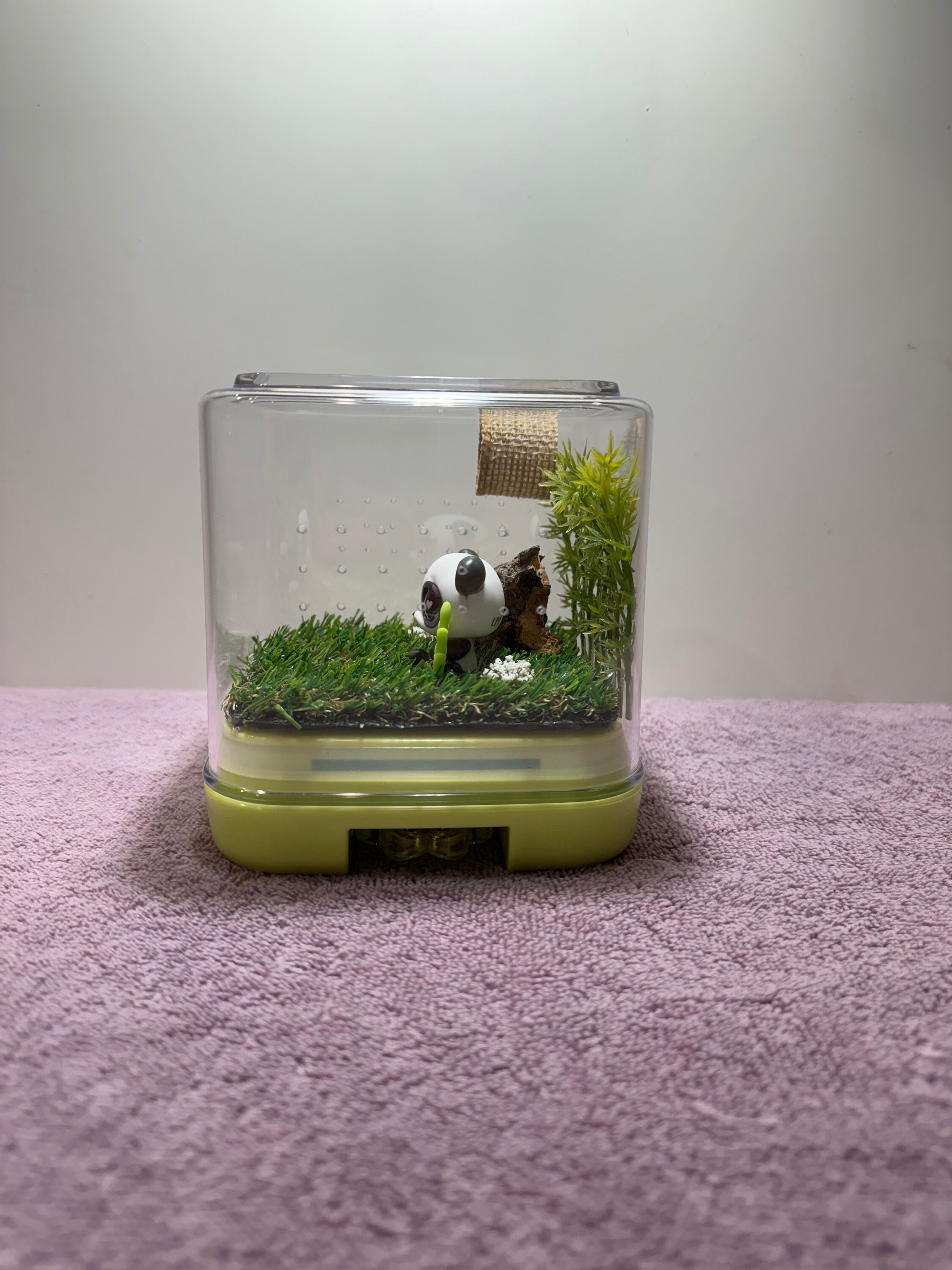 Handcrafted Jumping Spider Enclosure - Littlest Pet Shop Themed Panda ...