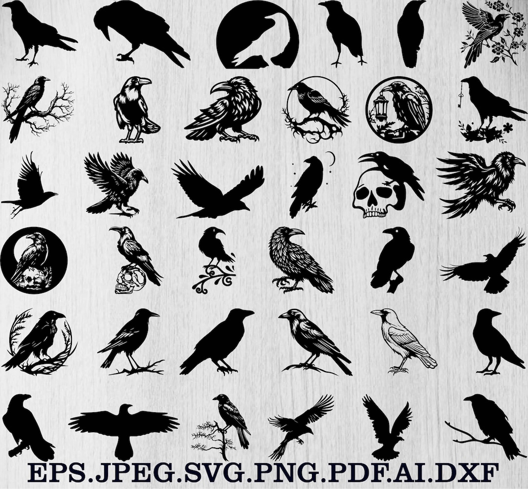 Crow Svg Bundle, Halloween Crow Svg, Crows Silhouette, Crows Clipart ...