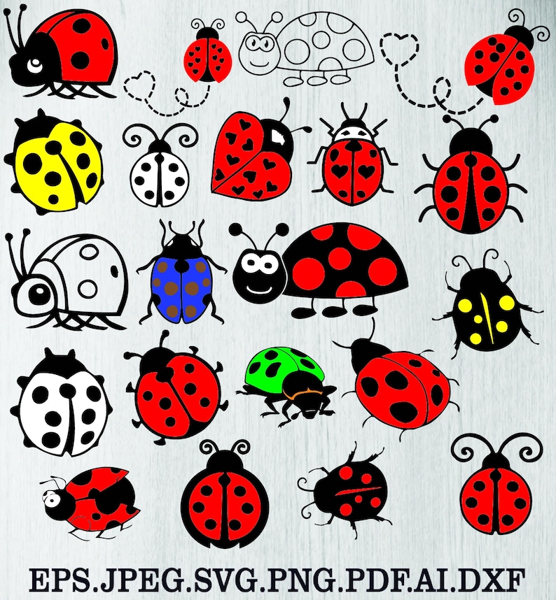 Ladybug Svg Bundle, Love Path Bug Svg, Ladybug Files for Cricut ...