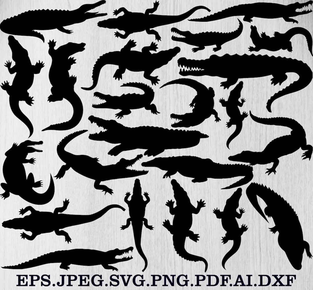 Alligator Svg Bundle, Alligator Clipart, Alligator Cut Files for Circut ...