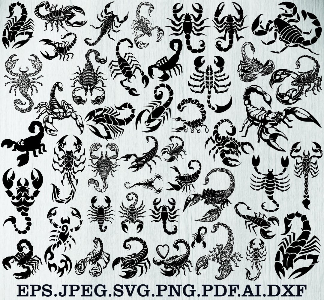 Scorpion Svg Bundle, Scorpion Png Bundle, Scorpion Clipart, Scorpion ...