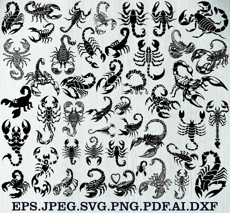 Scorpion Svg Bundle, Scorpion Png Bundle, Scorpion Clipart, Scorpion ...