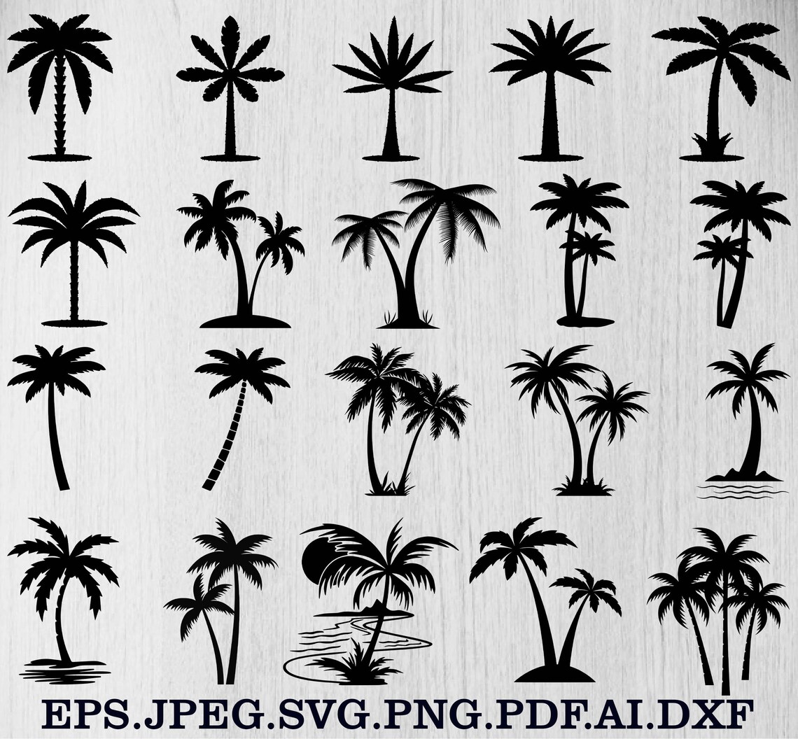 Palm Tree Svg Bundle Palm Tree Svg Palm Tree Clipart Palm Tree ...