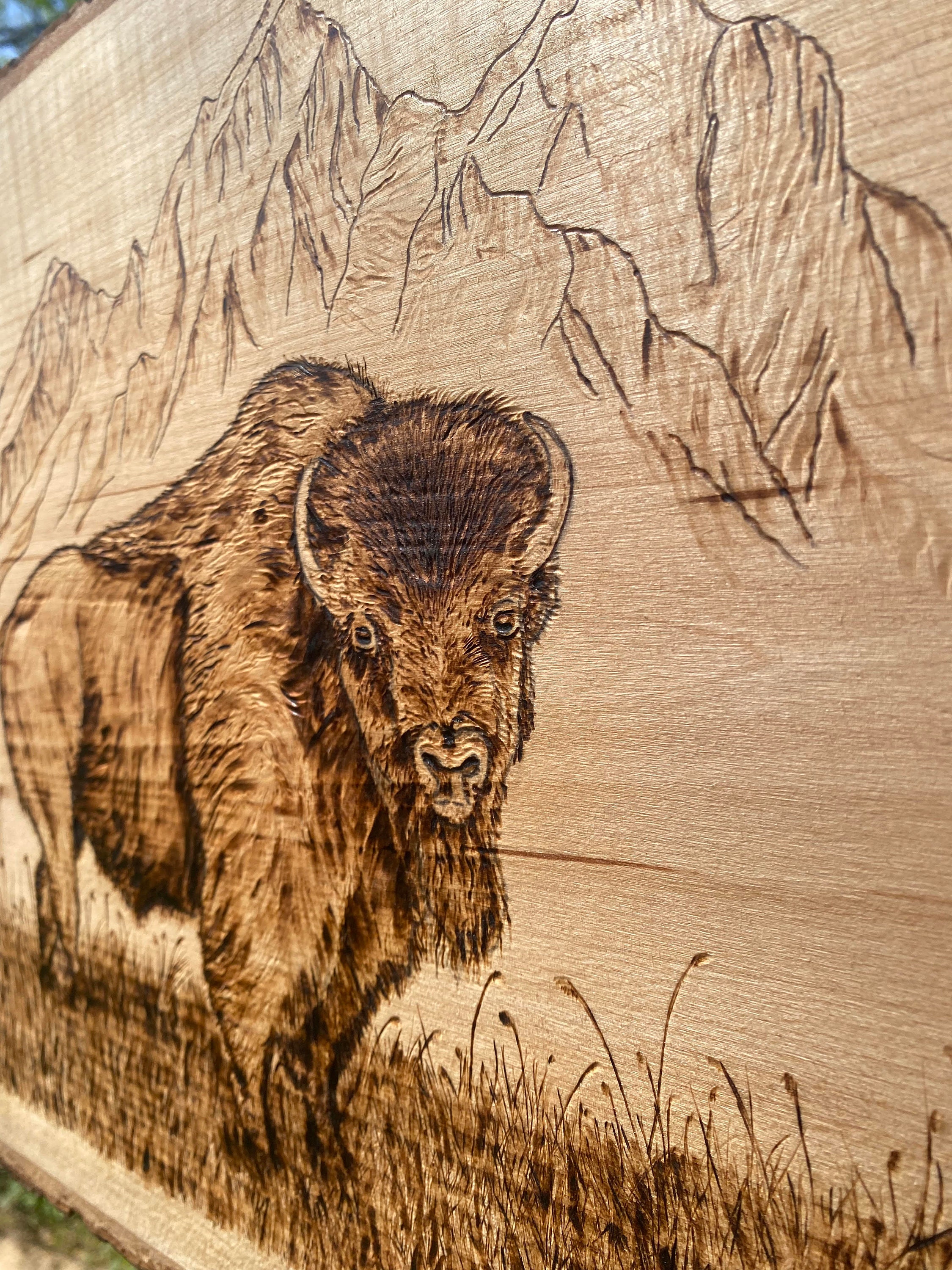 American Bison, Pyrography, Handmade Woodburning - Etsy