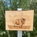 American Bison, Pyrography, Handmade Woodburning - Etsy