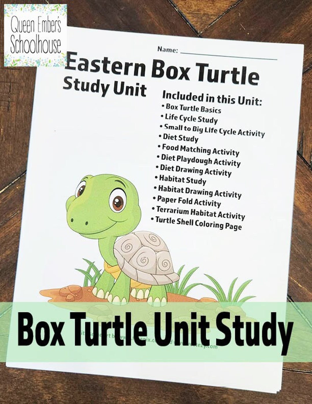 Eastern Box Turtle Study Unit: Homeschool Curriculum (digital Download ...