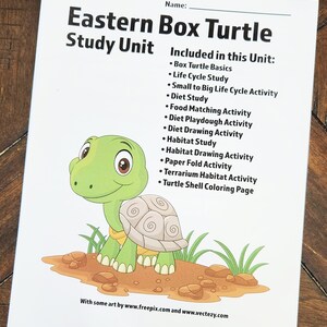 Eastern Box Turtle Study Unit: Homeschool Curriculum (digital Download ...