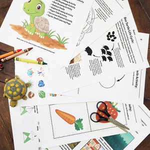 Eastern Box Turtle Study Unit: Homeschool Curriculum (digital Download ...