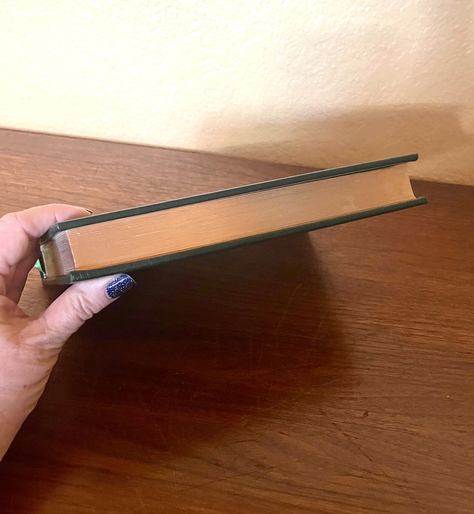 The Spectator Bird by Wallace Stegner Vintage Hardcover Leather Book ...