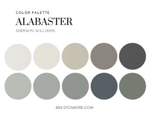Benjamin Moore Gray Paint Palette Color Samples Painted 18x12 Inch Gray ...