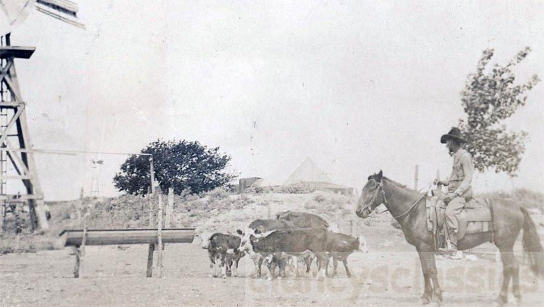 Vintage Photo 1915 Cowboy on Horse by Windmill on Ranch W Cattle39 L - Etsy