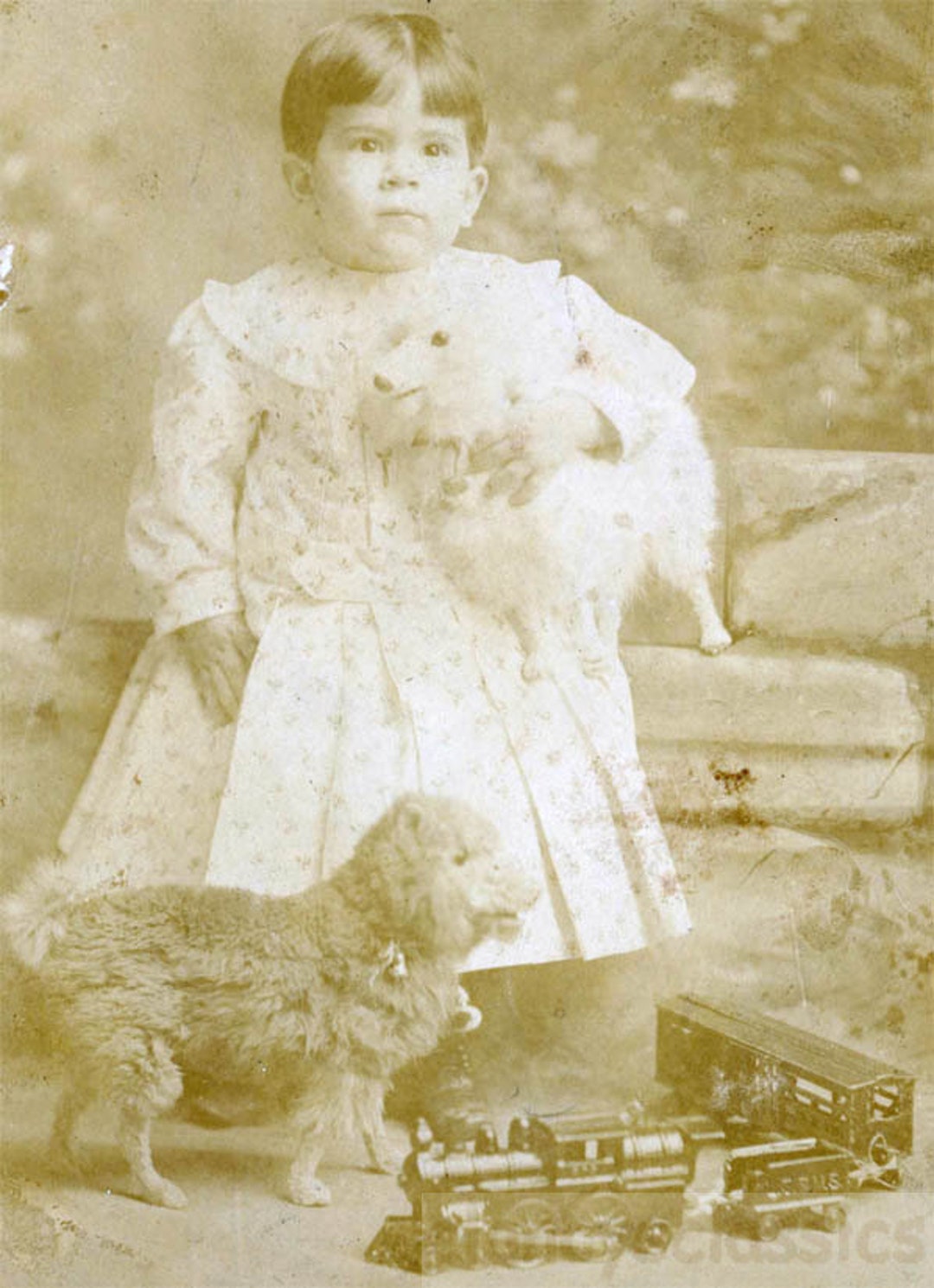 Vintage Photo 1898 Little Boy in Dress Holds Steiff Toy Dogs Train ...