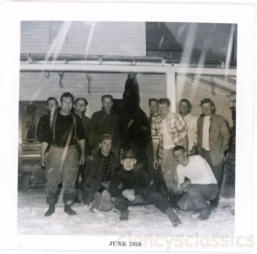 Vintage Photo 1959 Many Men Hunters Pose W Trophy Kill Black Bear 69 P ...