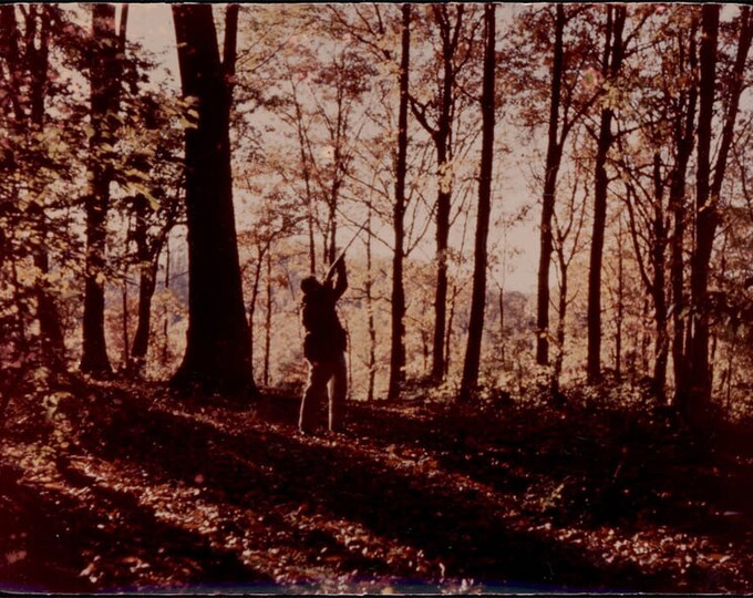 Vintage Photo 1960s Color Unusual Laminated Hunter Man W Gun Rifle in ...