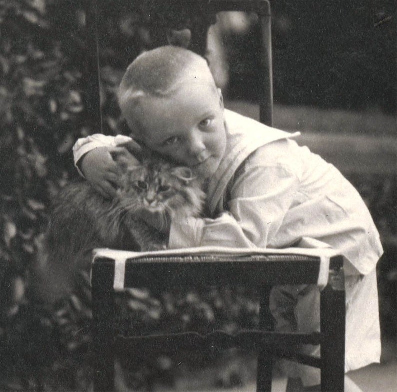 Little Boy David Loves His Pet Fluff the Cat Photo Print - Etsy