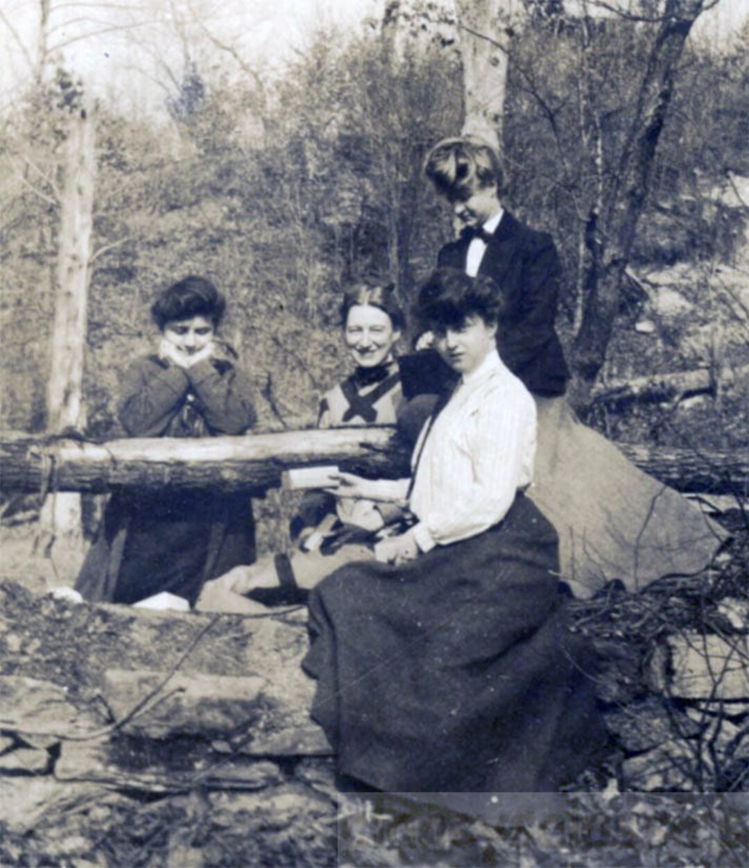 Vintage Photo 1910 Edwardian Beauty Pose Side View Women Out in Country ...