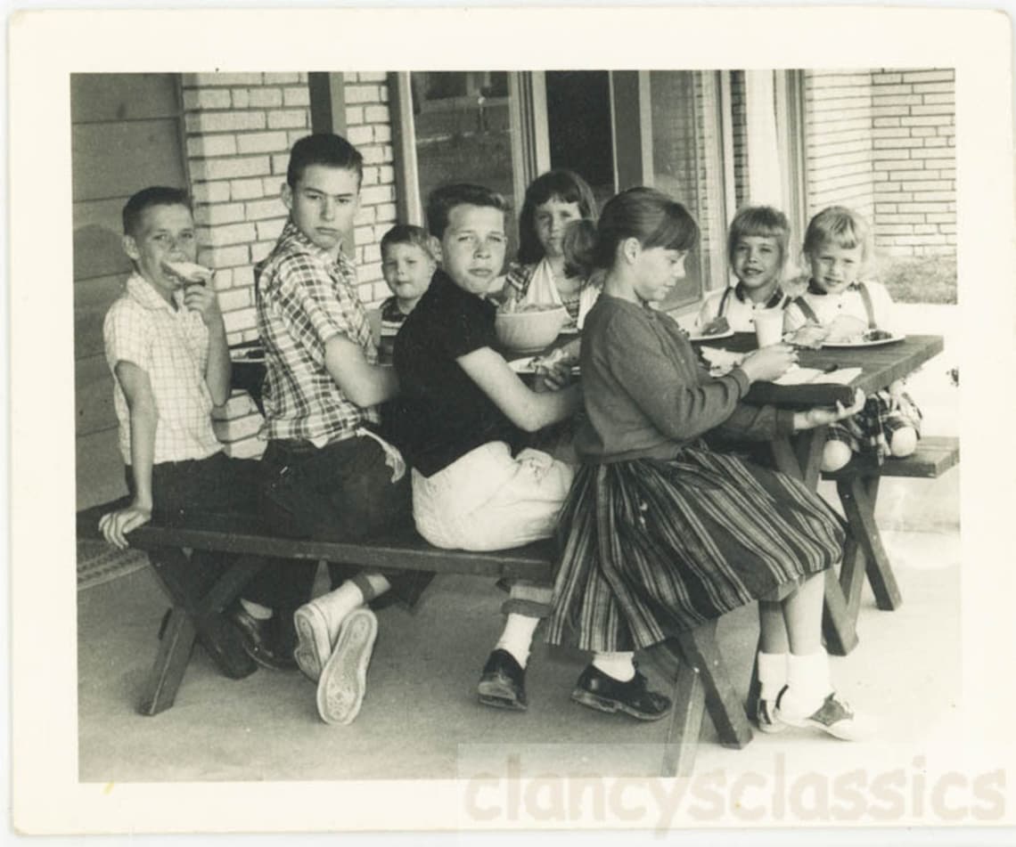Vintage Photo 1960 Suburbia Big Family 8 Children Sit Backyard Picnic ...