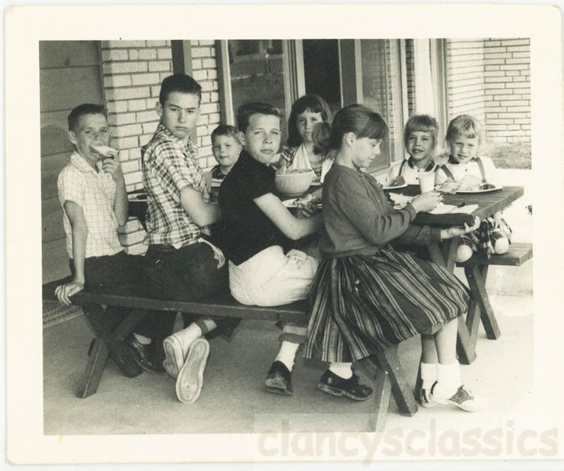 Vintage Photo 1960 Suburbia Big Family 8 Children Sit Backyard Picnic ...