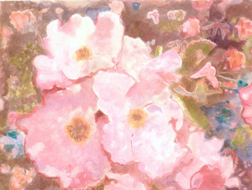 Wild Irish Roses Watercolor Color Photography Print - Etsy