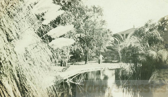 Vintage Photo 1924 Los Angeles California Selig Zoo Bear Luna - Etsy