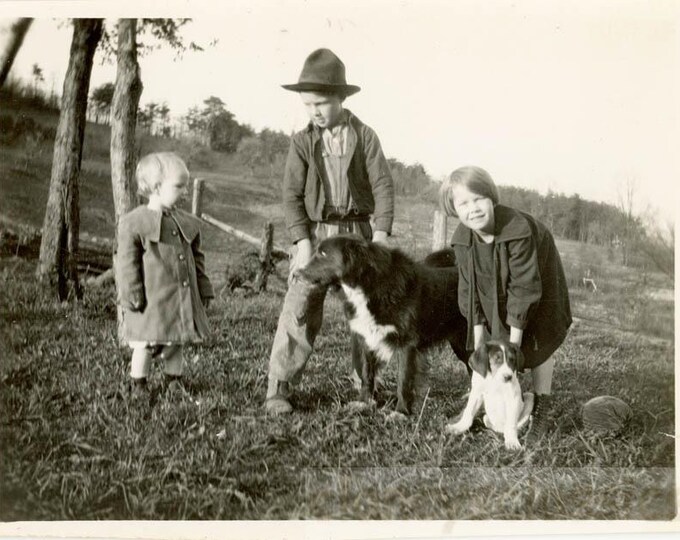 Vintage Photo 1920 Children on Farm With Dog and Puppy27 U - Etsy