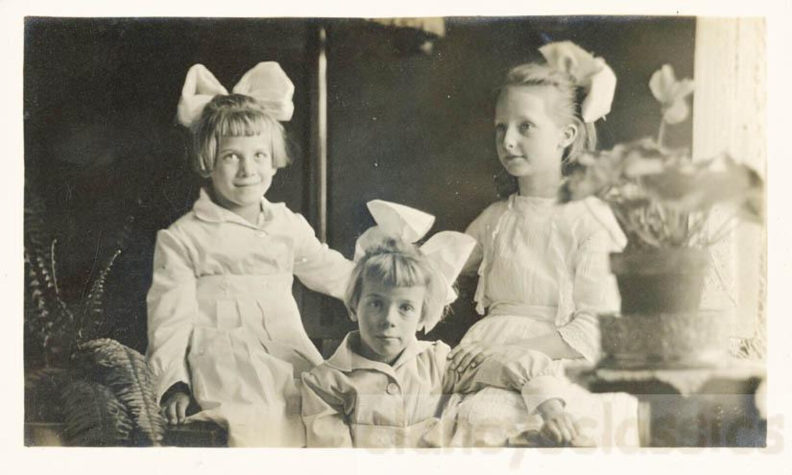 Vintage Photo 1914 All Wearing Big White Bows Hawgood Dewitt Girls ...