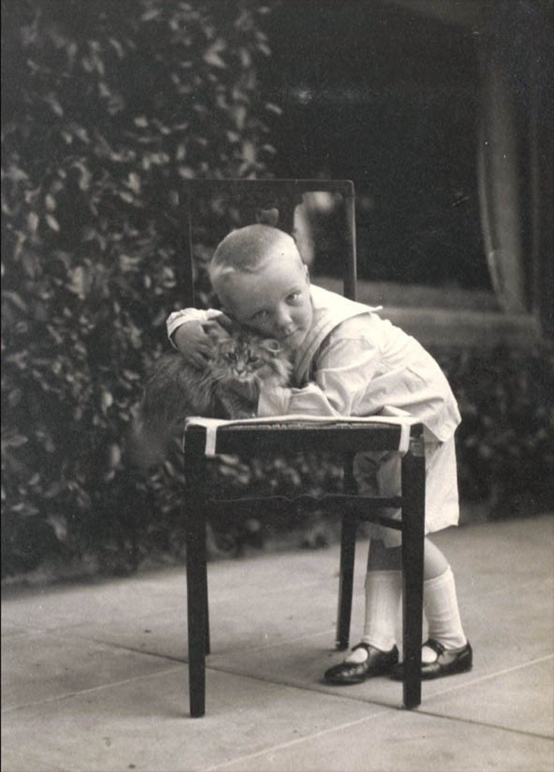 Little Boy David Loves His Pet Fluff the Cat Photo Print - Etsy