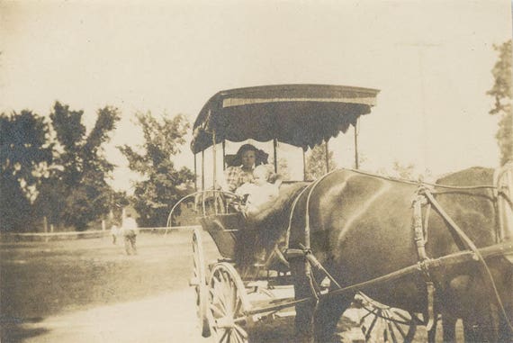 Vintage Photo 1908 Children Riding in a Horse Drawn Wagon With | Etsy