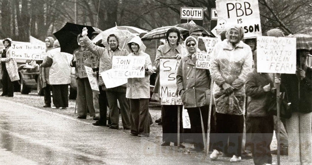 Vintage Photo 1970s People Protest in Michigan Against PBB Poisoned ...