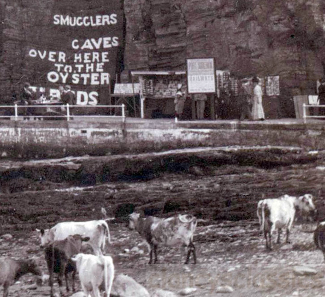 Vintage Photo 1906 Port Soderick Isle of Man Oysters Sealion Pool ...
