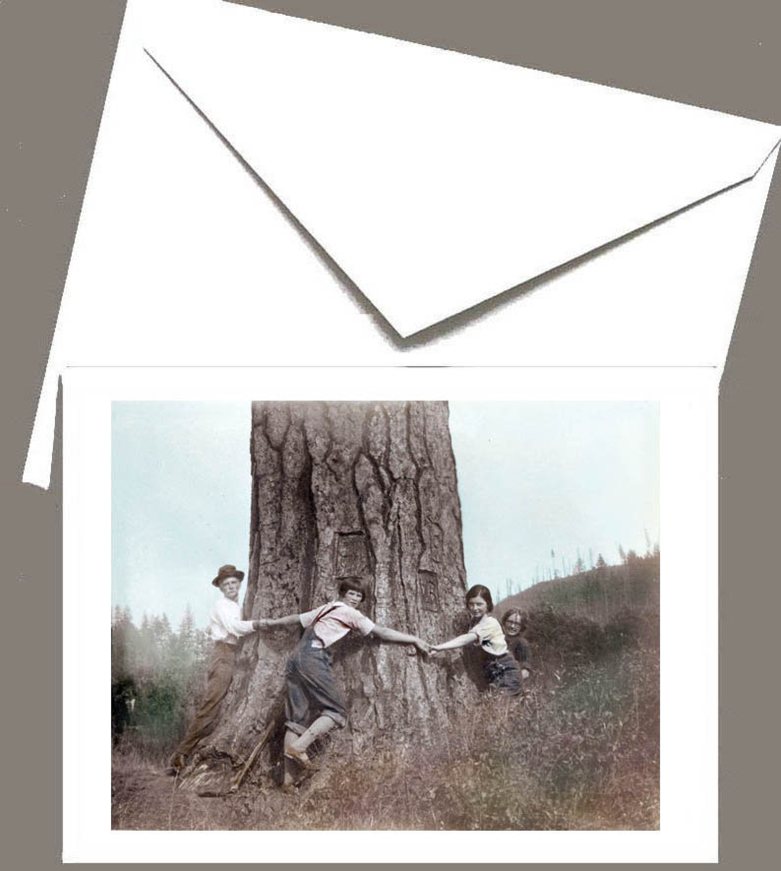Tree Hugger Greeting Card - Etsy