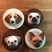 Pet Dog Chocolate Covered Oreos - Etsy