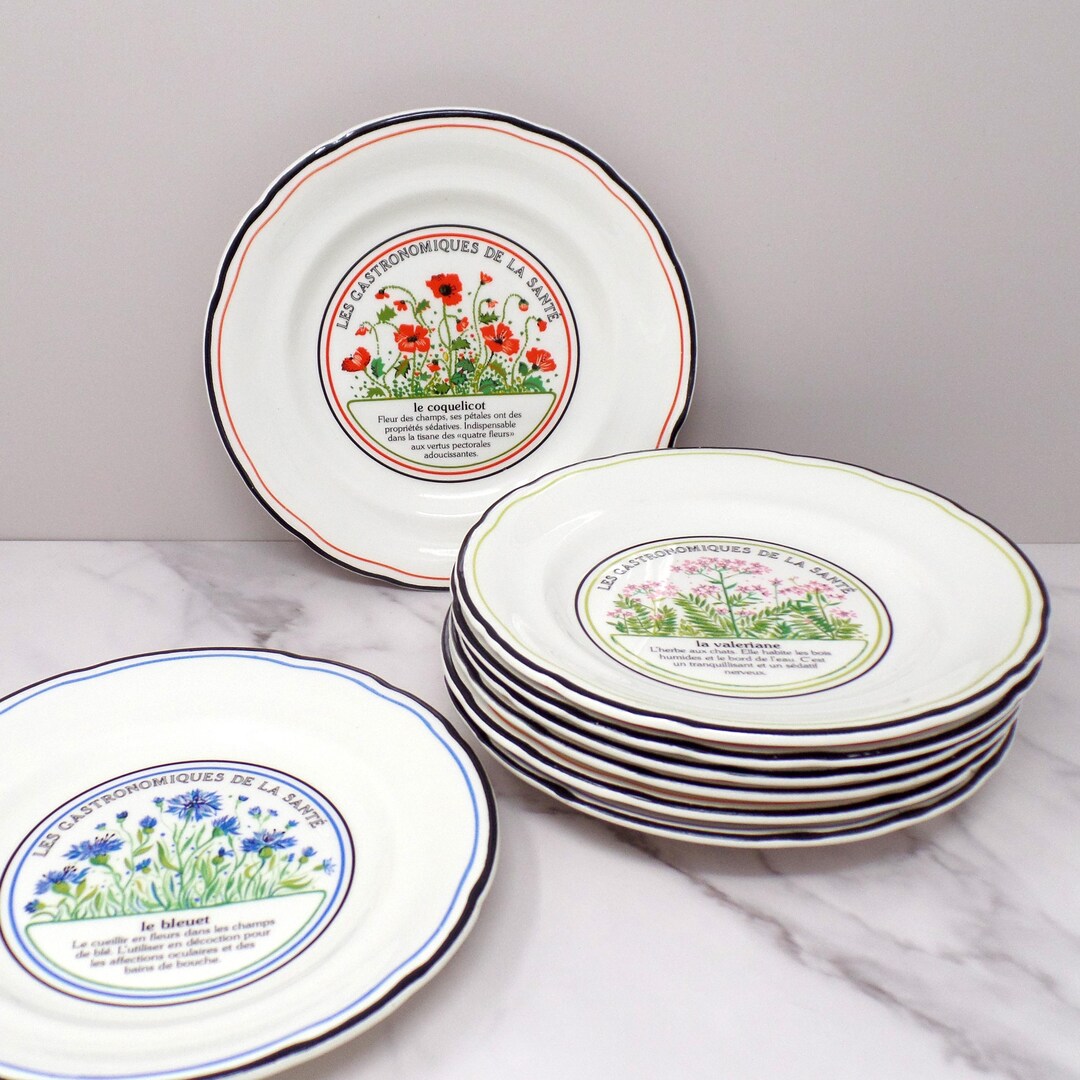 Gien Les Gastronomiques De La Sante, Le Jardin Enchante Plates - 8 in ...