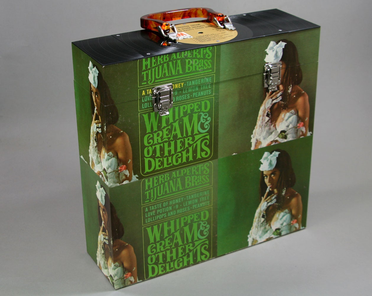Handmade LP Record Case 12-inch Box - Whipped Cream & Other Delights ...
