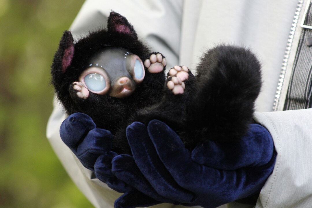 Black Cat Matagot Eyes Gow in the Dark - Etsy