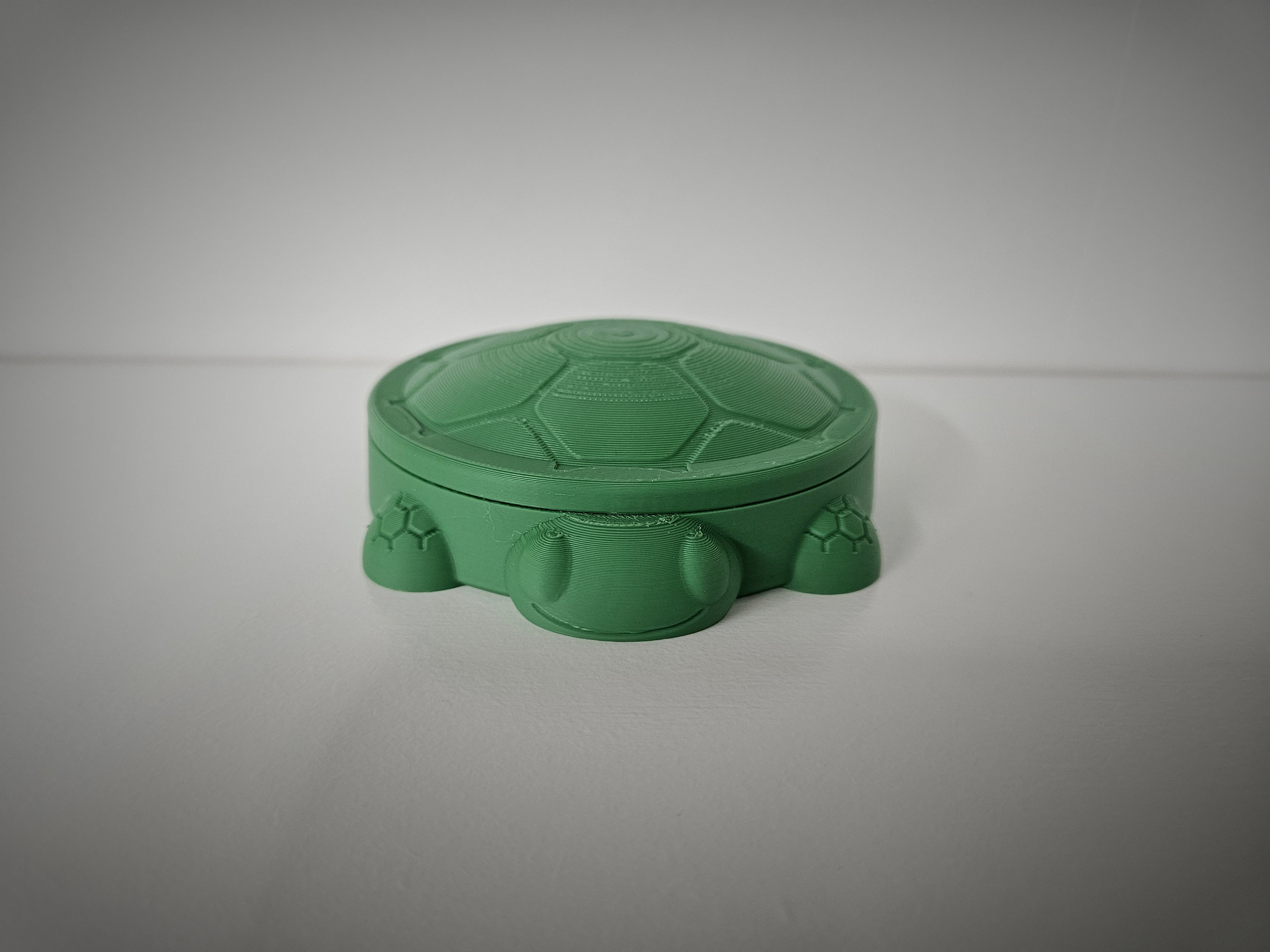 Mini Turtle Sandbox - Etsy