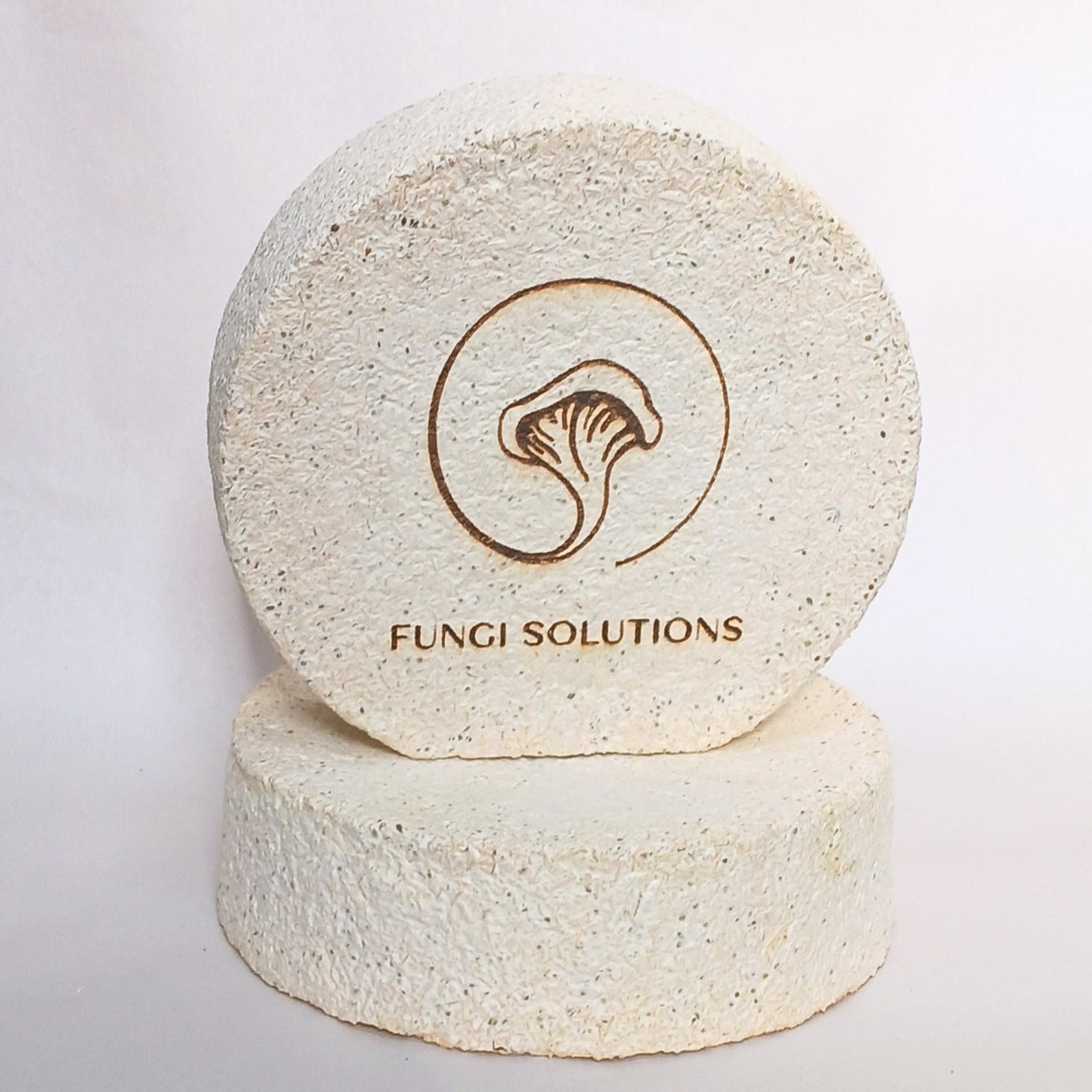 Mycelium Circle Panel - Etsy