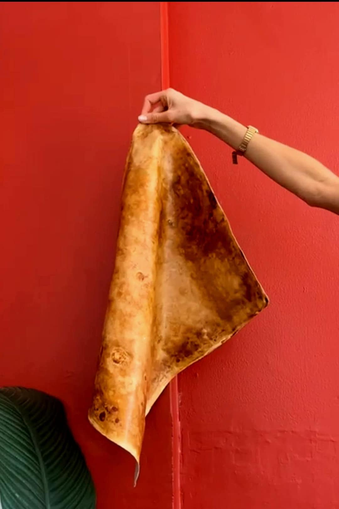 Large Mylea™ Mycelium Mushroom Leather Sheet - Etsy