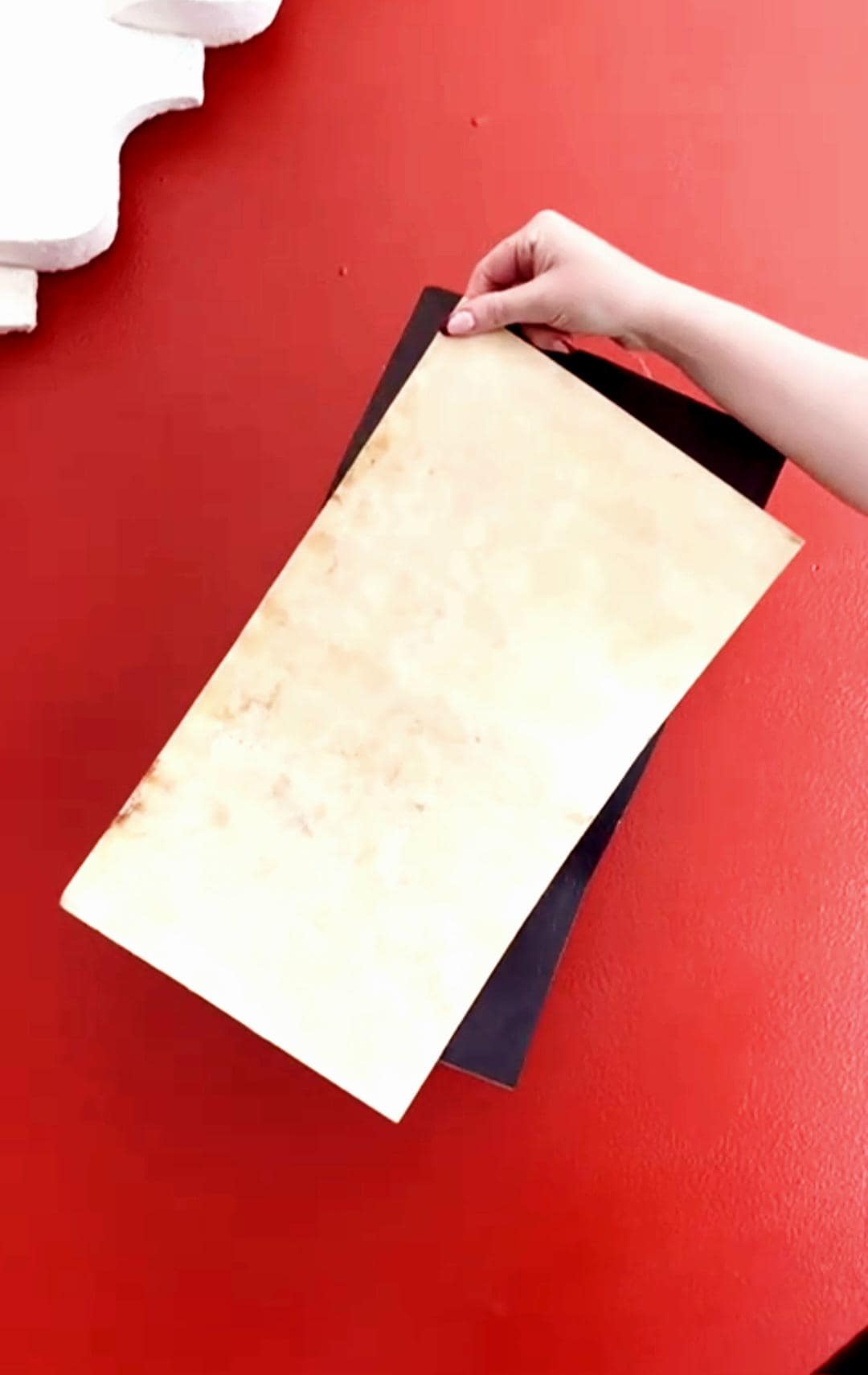 Medium Mylea™ Mycelium Mushroom Leather Sheet - Etsy