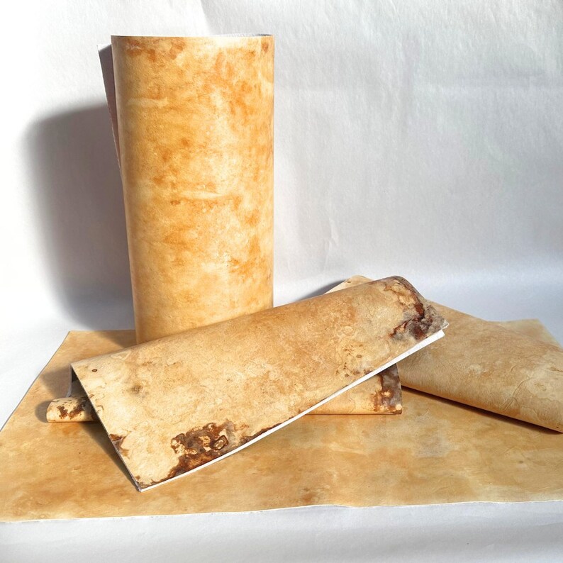 Medium Mylea™ Mycelium Mushroom Leather Sheet - Etsy