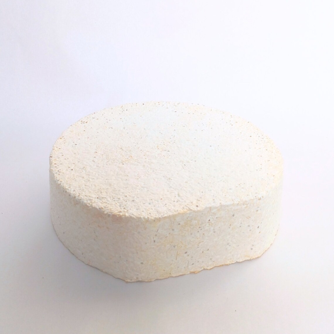 Mycelium Circle Panel - Etsy