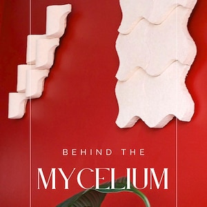 Mycelium Curve Panel - Etsy