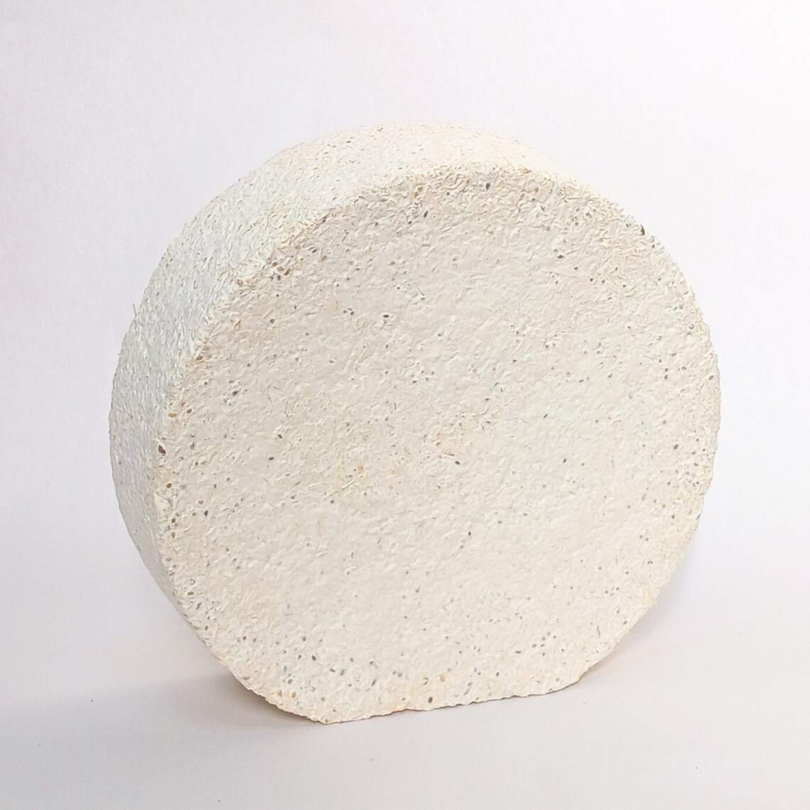 Mycelium Circle Panel - Etsy