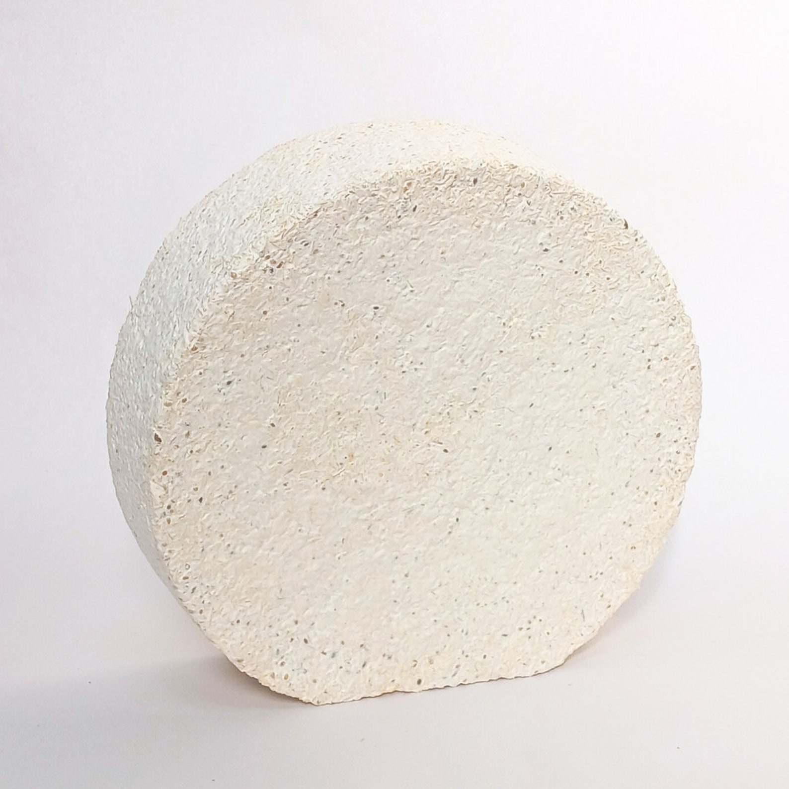 Mycelium Circle Panel - Etsy