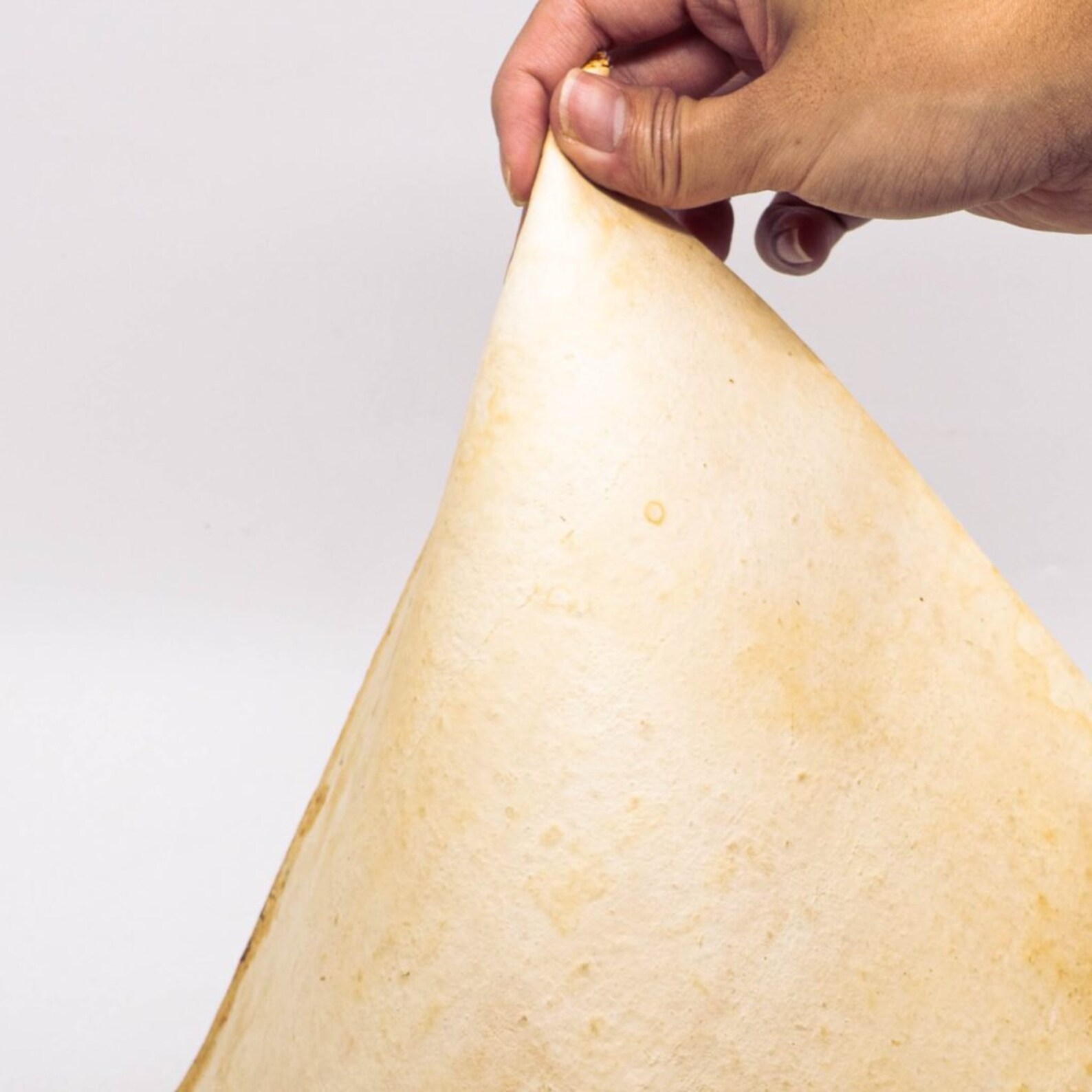 Mylea™ Mycelium Mushroom Leather Sheet Medium - Etsy Canada