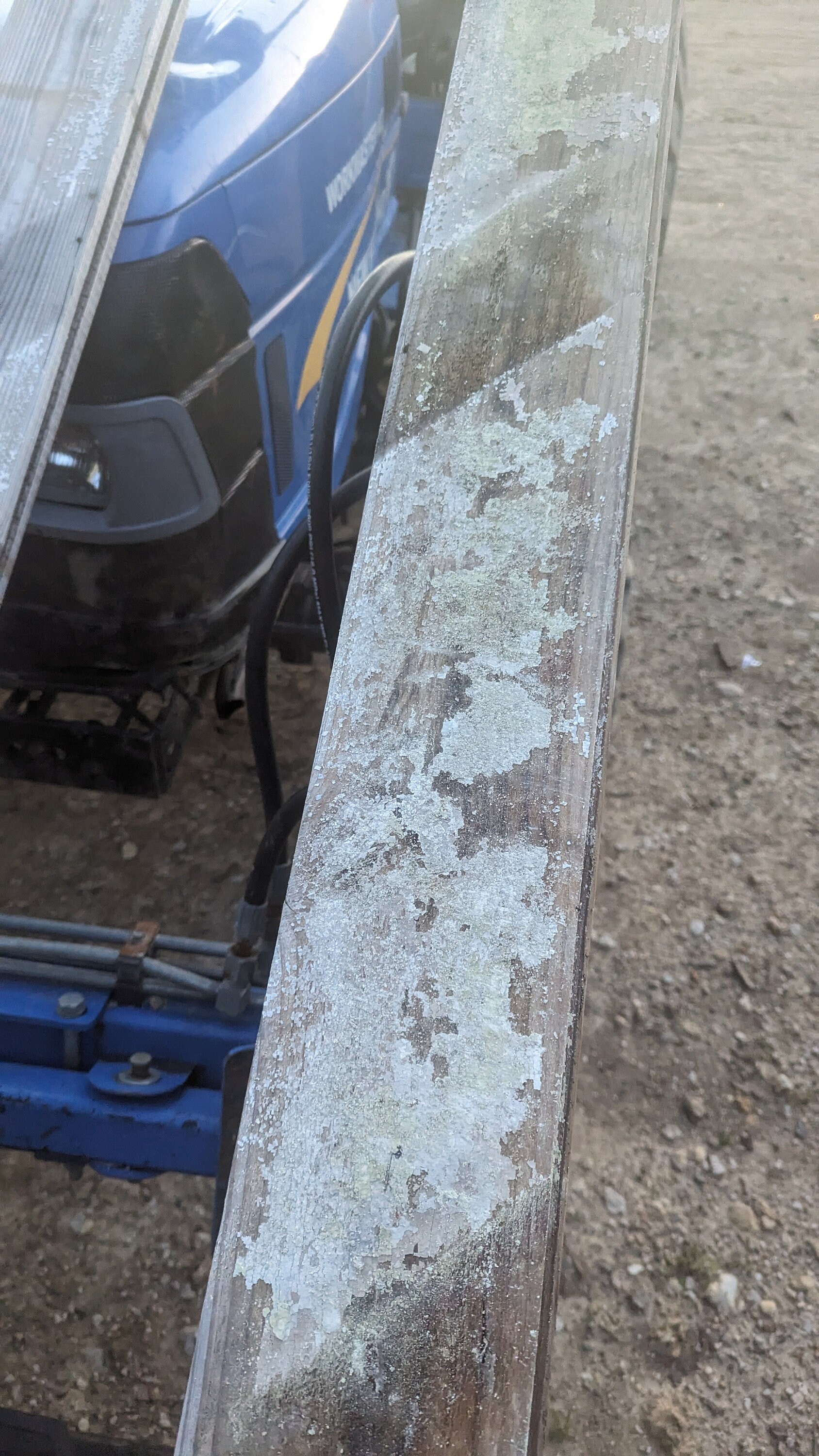 Vintage 2"x6" Tongue and Groove Planks - Etsy