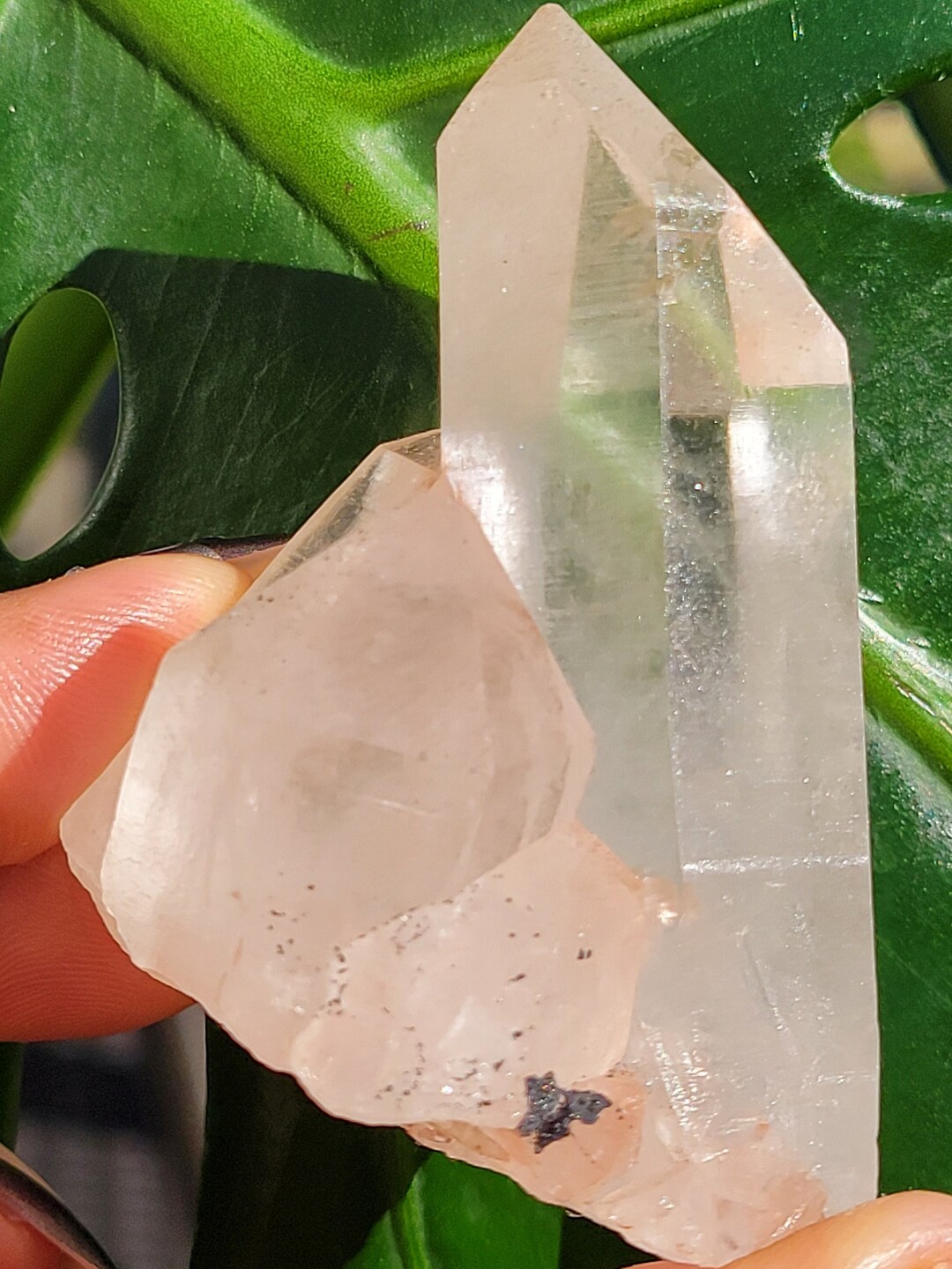 Stunning Pink Himalayan Quartz Cluster From the Himalayan Mountains ...